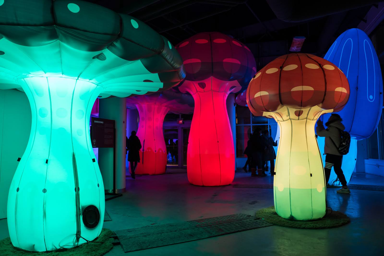 Lifting Our Spirits At The Toronto Light Festival In The Distillery ...