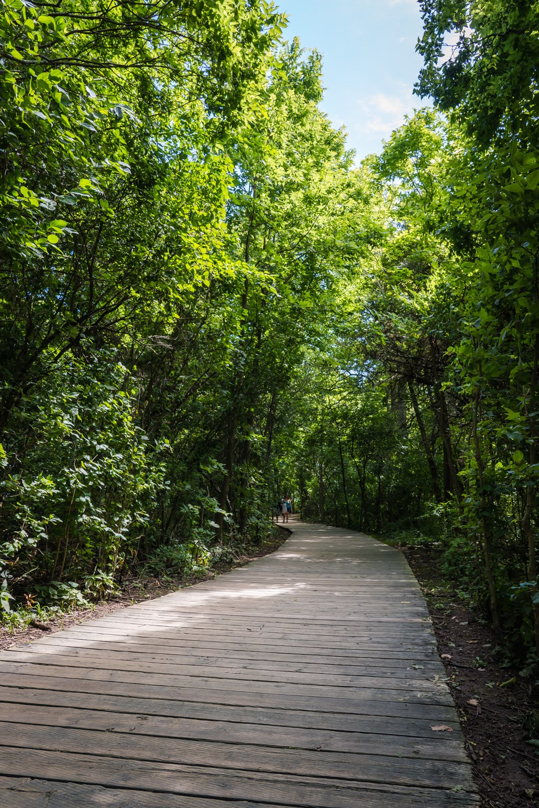 A Summer Day At Point Pelee National Park, Leamington, Ontario