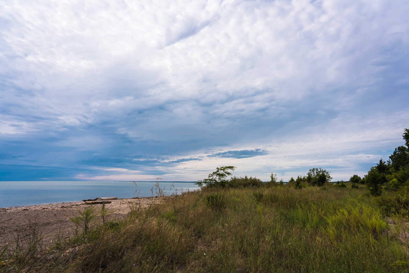 A Summer Day At Point Pelee National Park, Leamington, Ontario