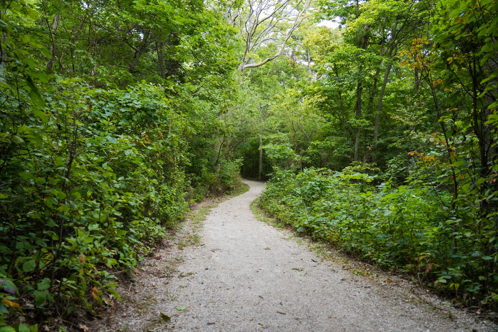 A Summer Day At Point Pelee National Park, Leamington, Ontario